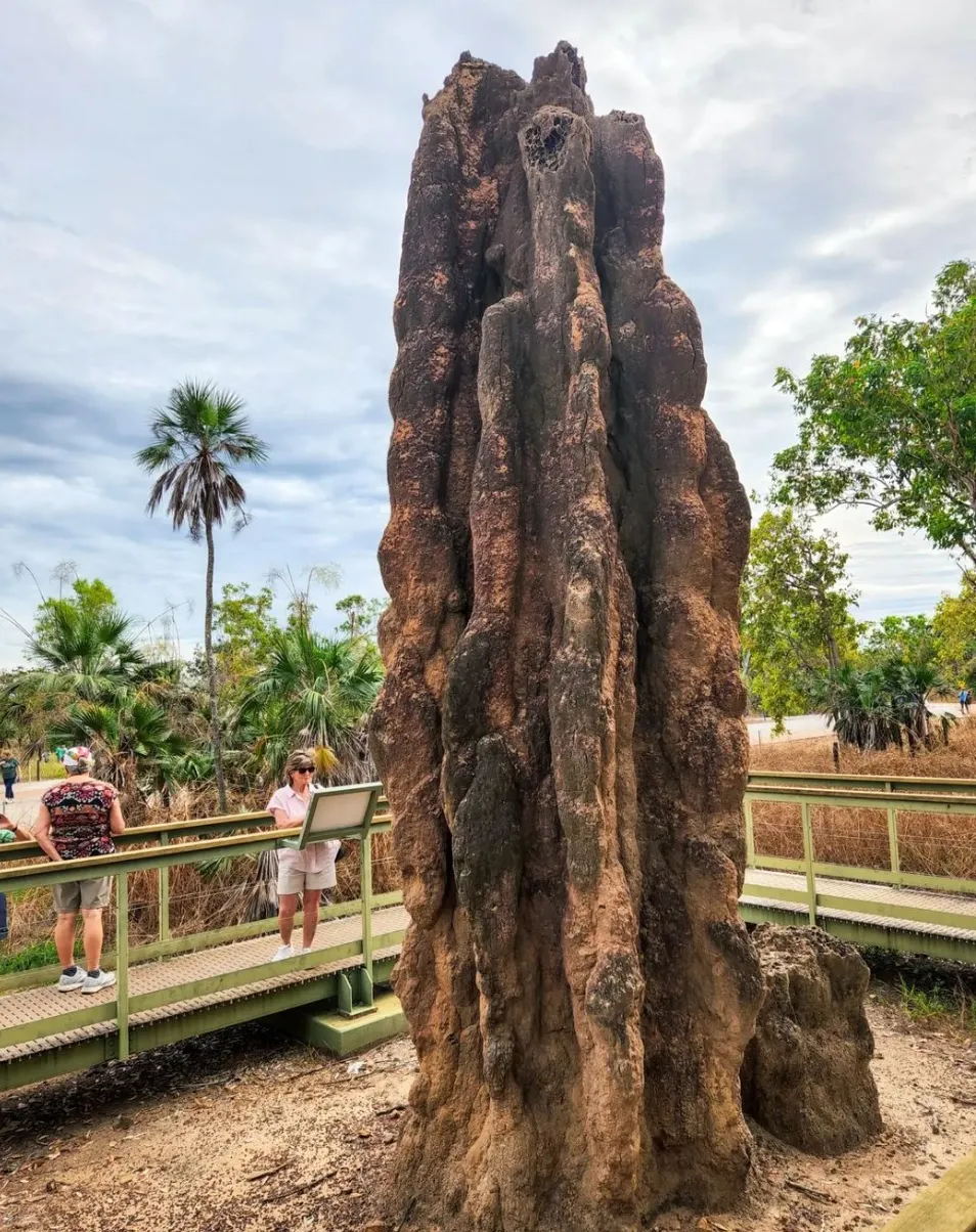 Exploring the Magnetic Termite Mounds of Litchfield National Park